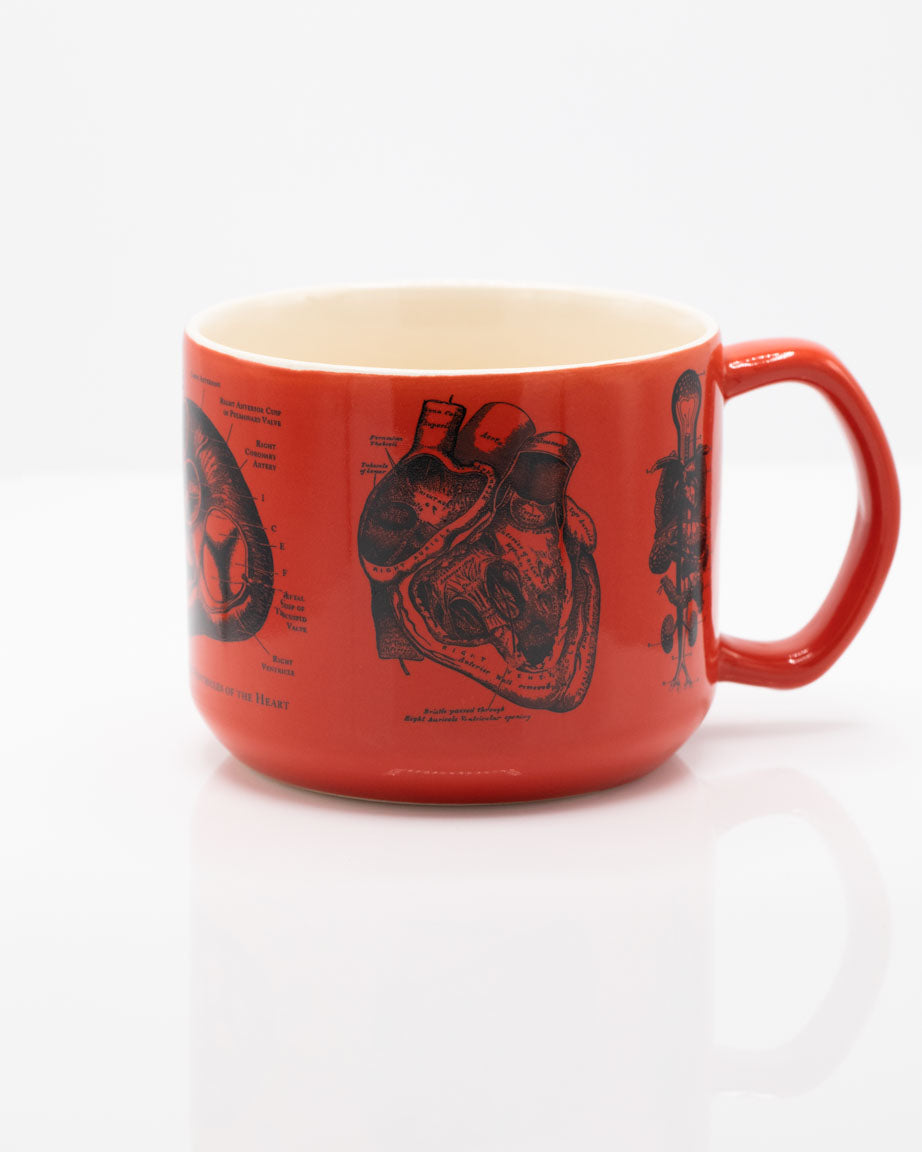 Heart Anatomy Mug - Nurse Mug | Cognitive Surplus – Cognitive Surplus ...
