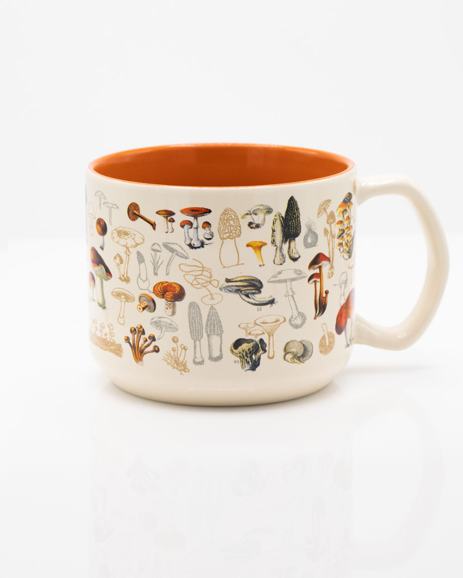 Woodland Mushrooms Mug - Botany Mug | Cognitive Surplus – Cognitive ...