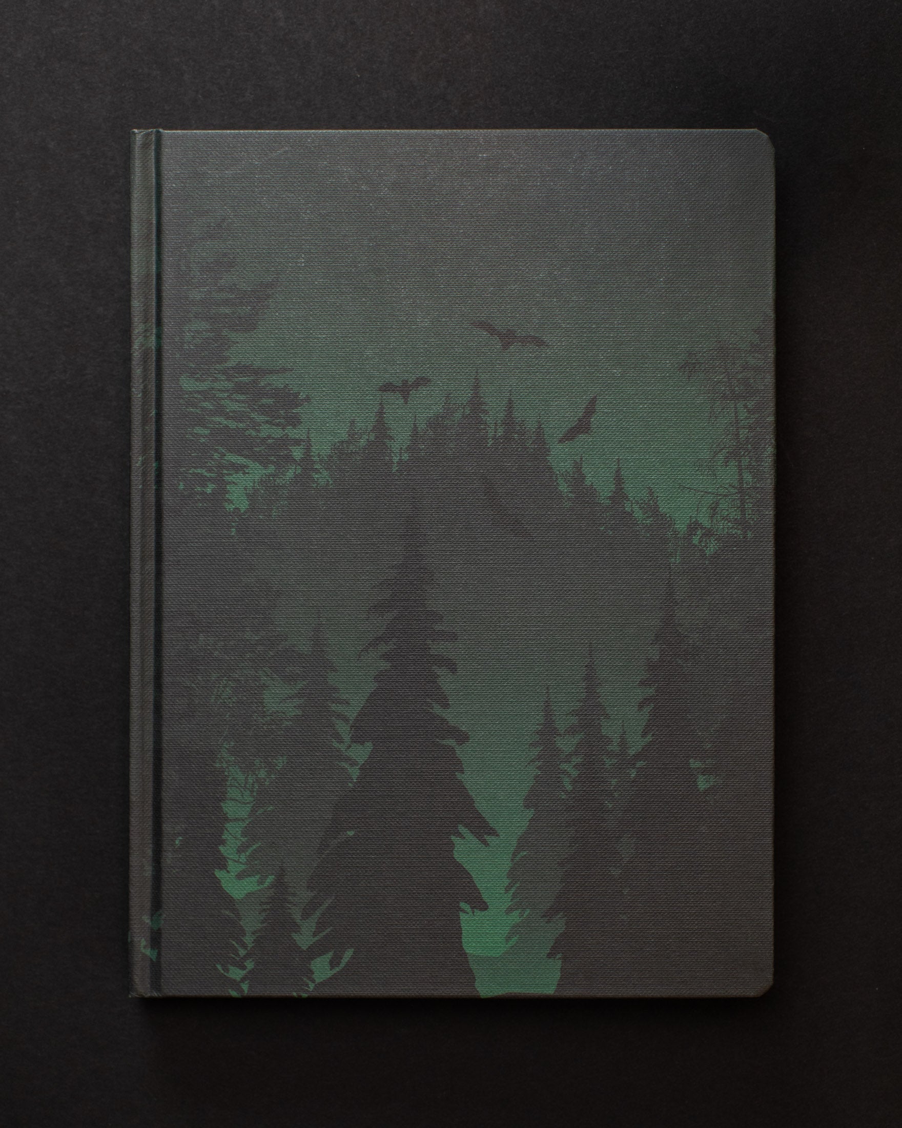 Twilight in the Evergreen Forest Dark Matter Notebook – Cognitive ...