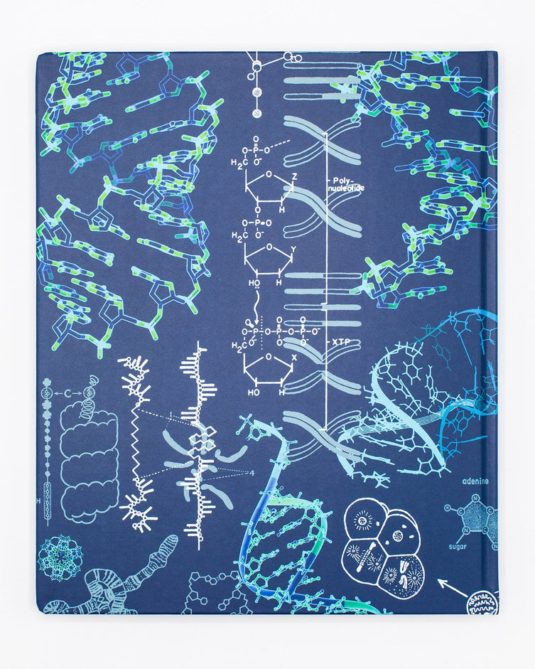 Genetics Lab Notebook – Cognitive Surplus Global